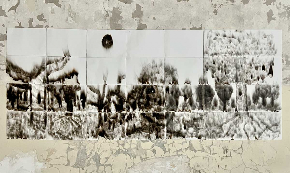 Isadora Canela: FAHRENHEIT -457,69