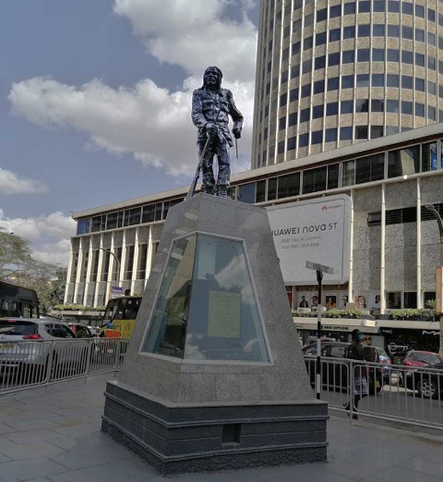 How Public are Public Statues?